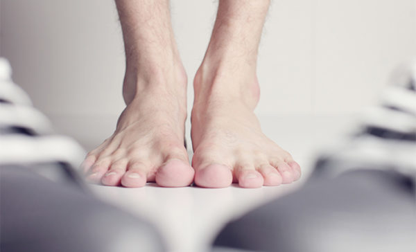 The Anatomy of the Foot - Cary Orthopaedics